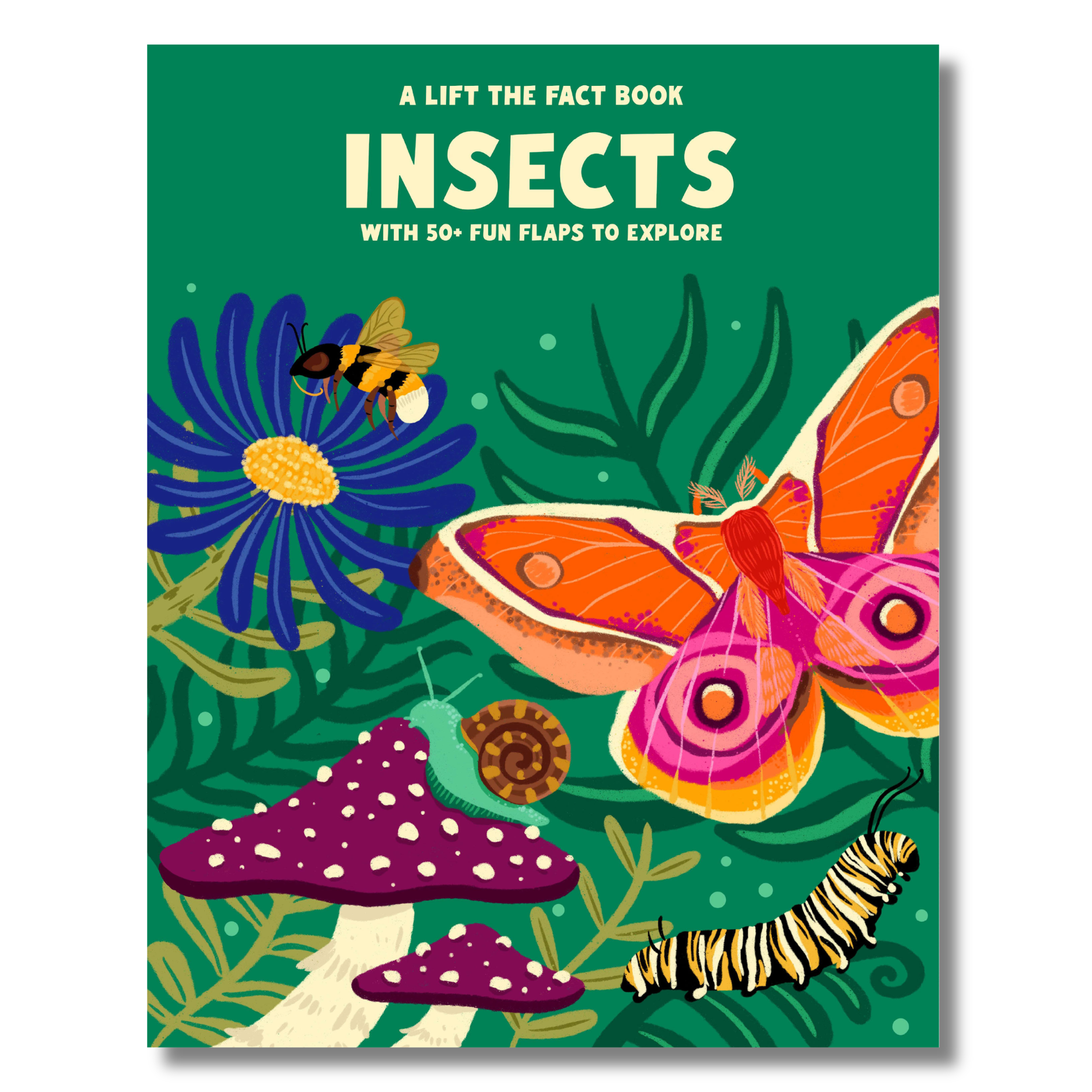 A Lift-the-Fact Book: Insects – Five Mile Press